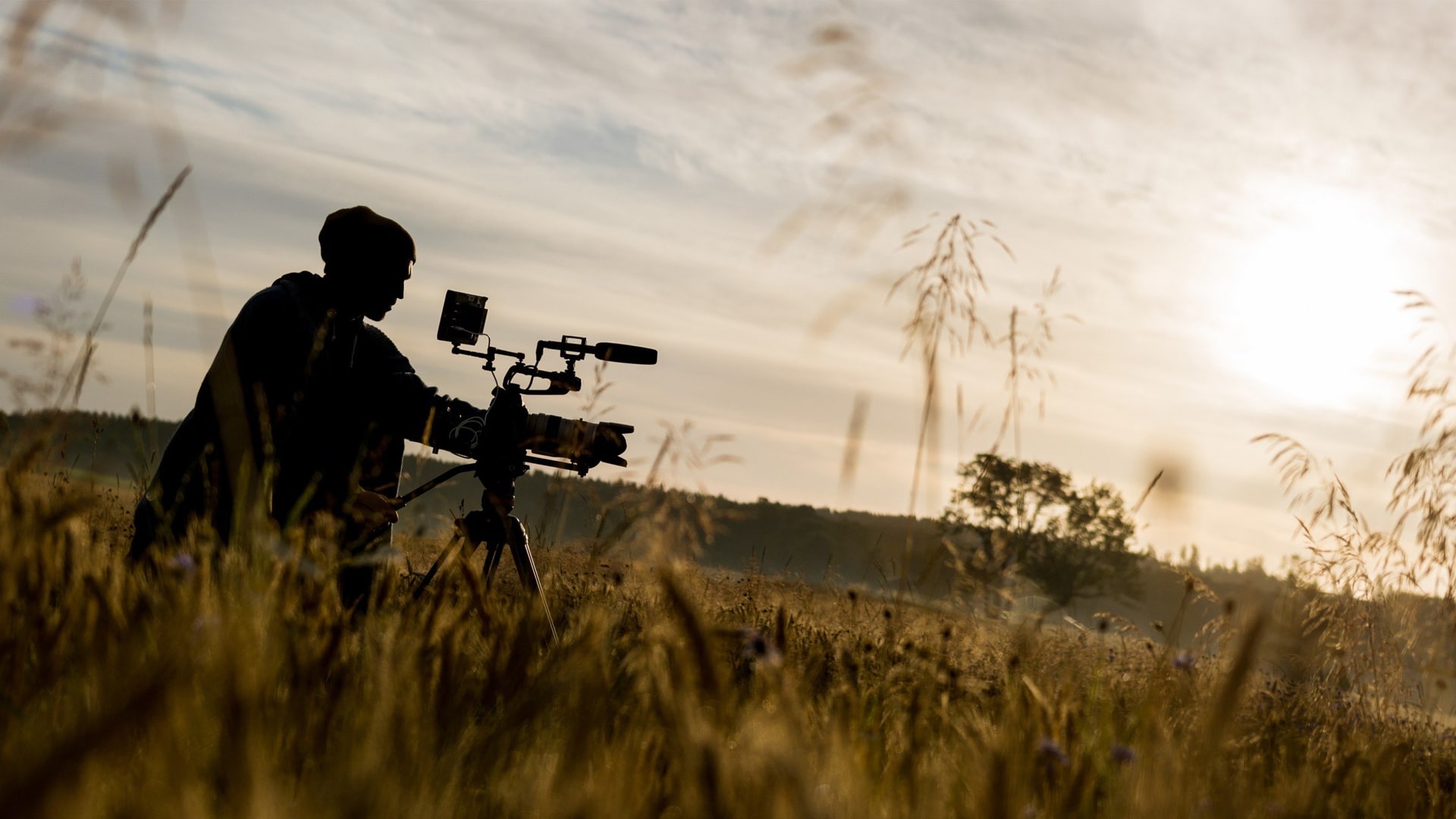 Cinema, nasce la certificazione Green Film - KissKiss.it