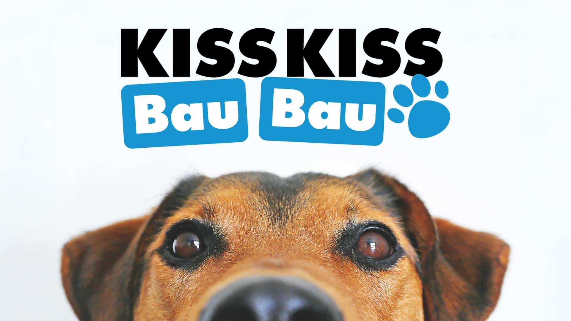 Kiss Kiss Bau Bau: partecipa al contest - KissKiss.it